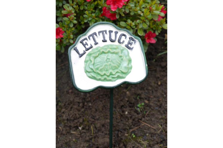 Cast Iron Lettuce Sign [2207] - On The Square Emporium