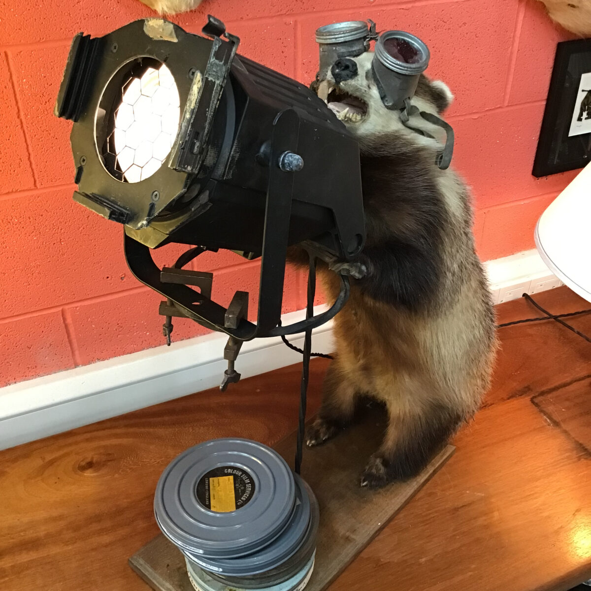 Steampunk Badger Spotlight - On The Square Emporium