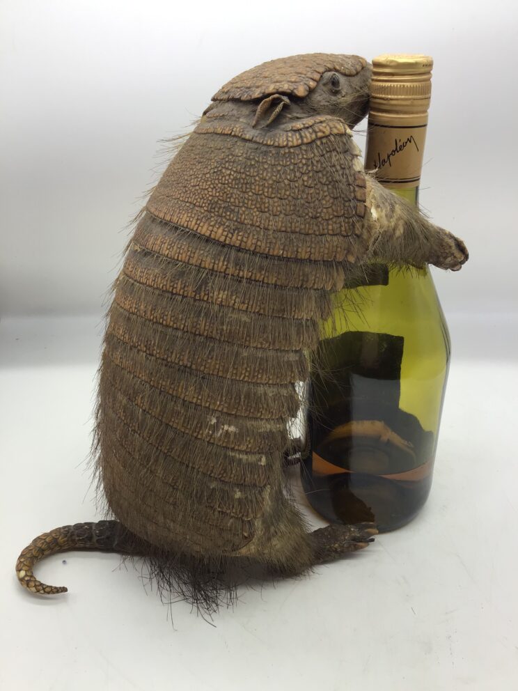 Hairy Armadillo bottle-holder - On The Square Emporium