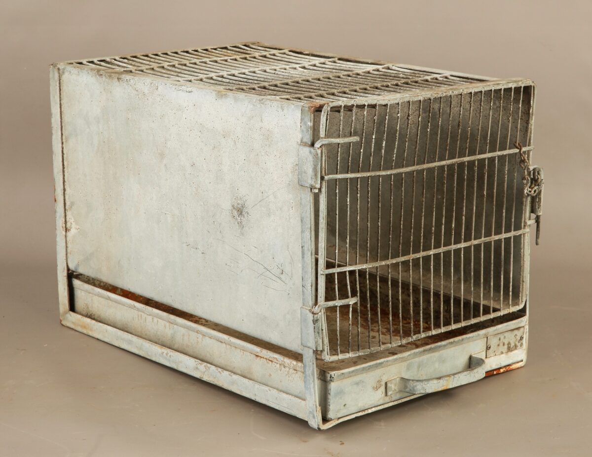 Lab Cage - On The Square Emporium