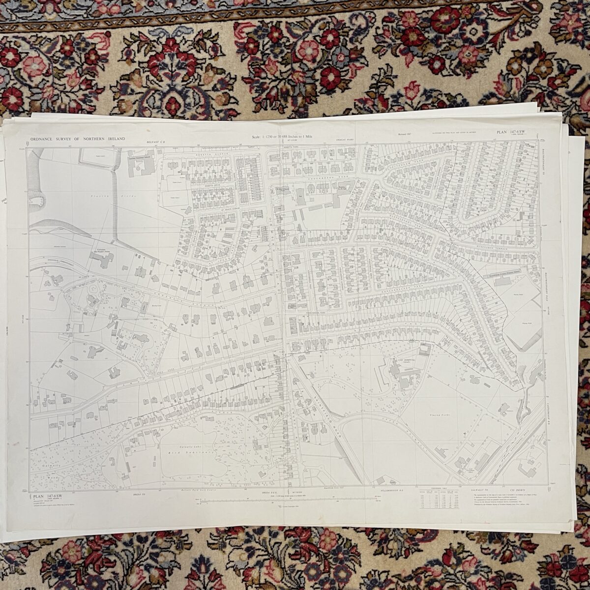 Vintage Ordnance Survey Map of Saintfield Road / Ormeau Road