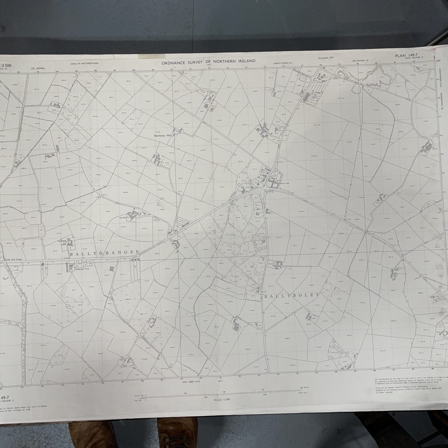 Vintage Ordnance Survey Map of Carrowdore (Ballyboley) - On The Square ...