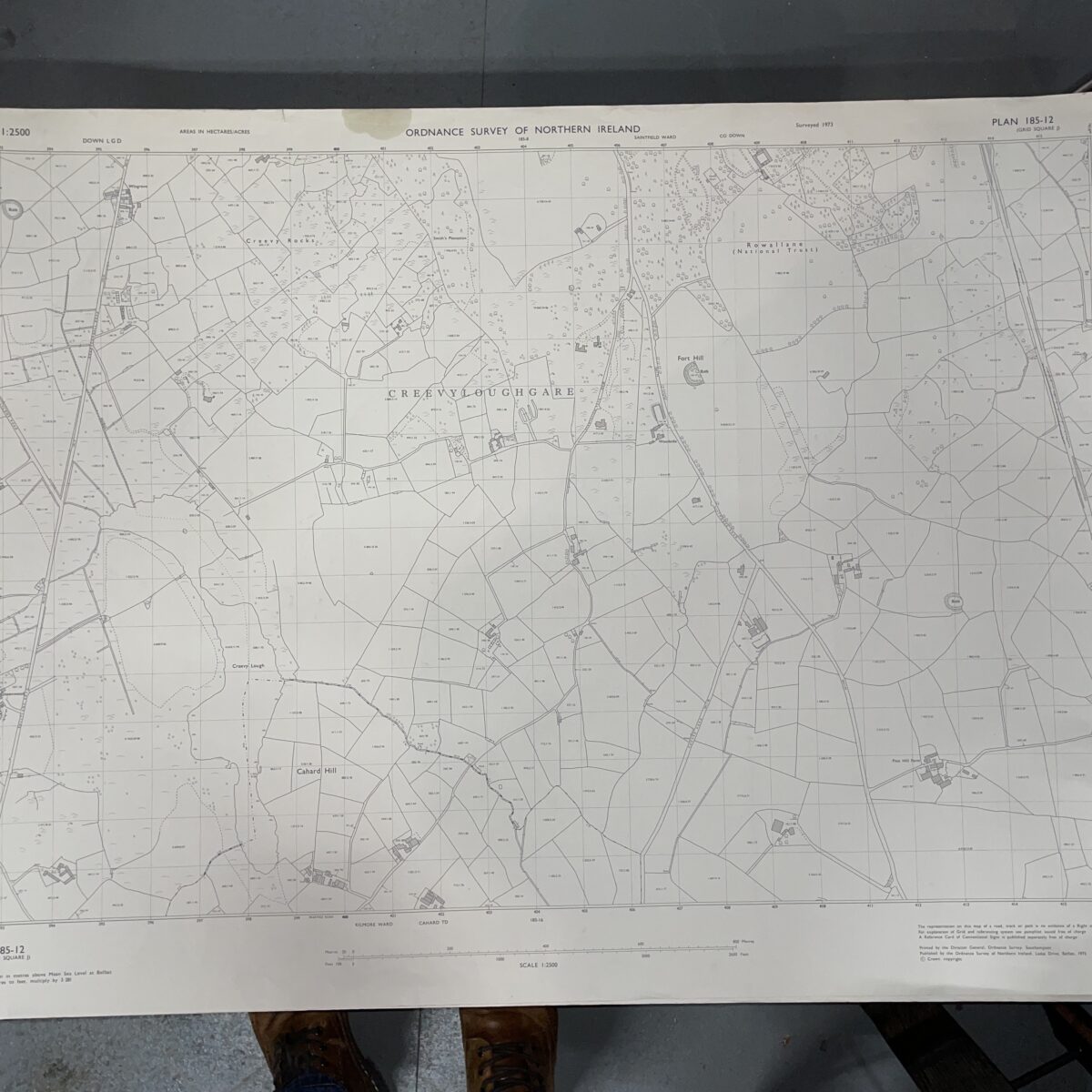 Vintage Ordnance Survey Map of Saintfield (Creevyloughare) - On The ...