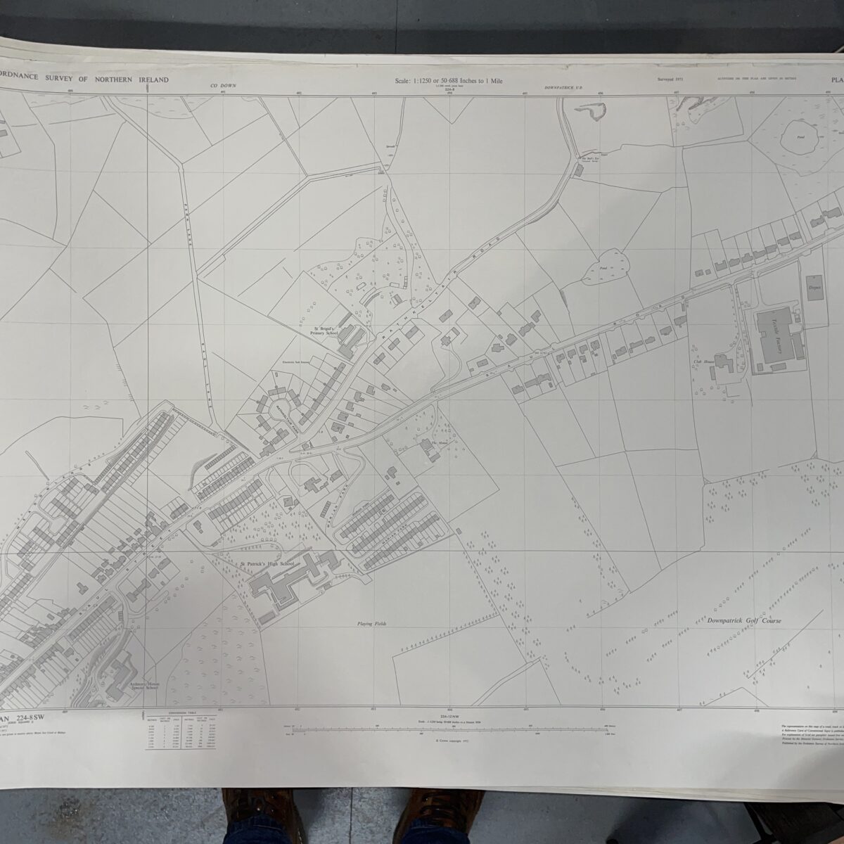 Vintage Ordnance Survey Map of Downpatrick - On The Square Emporium