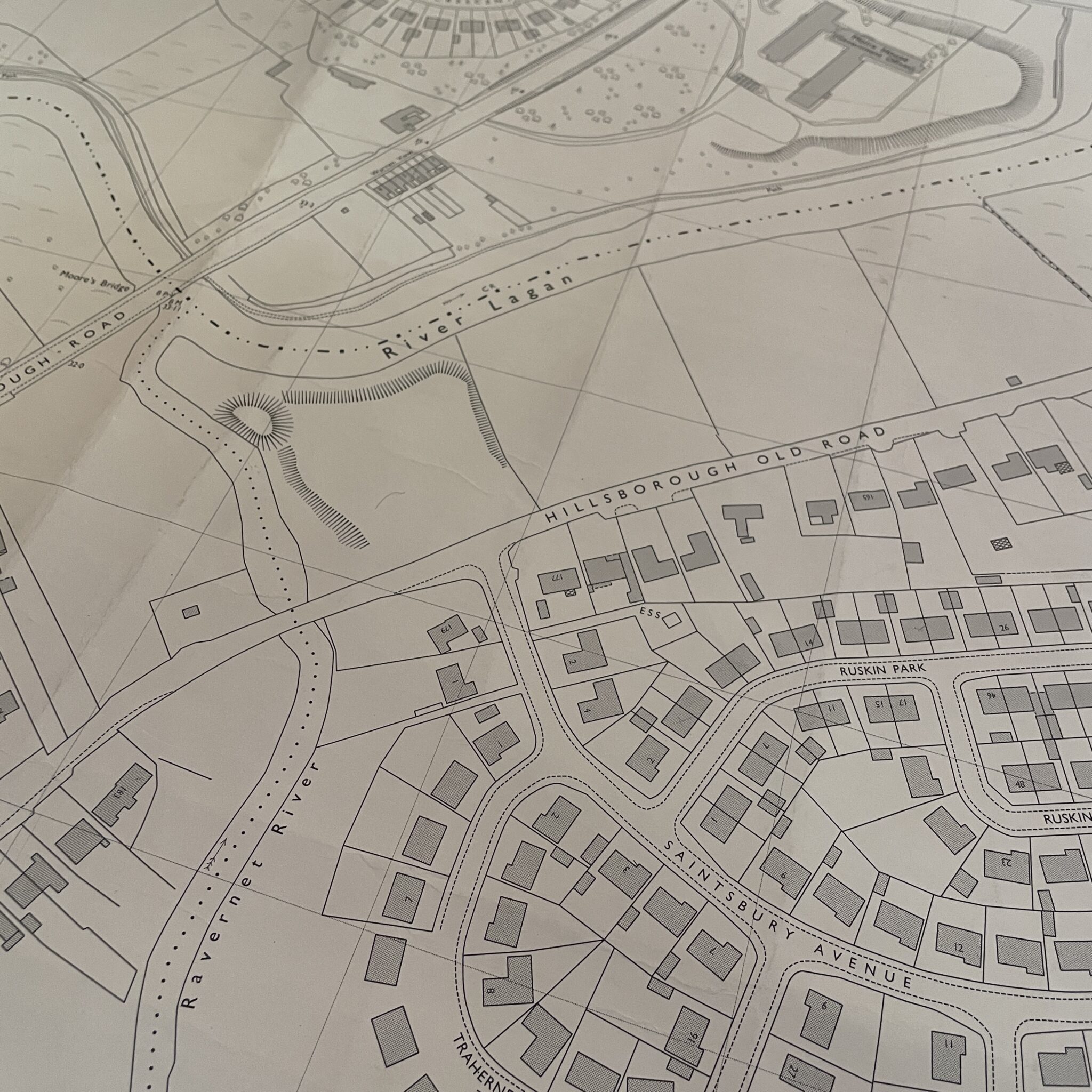 Vintage Ordnance Survey Map of Lisburn (Hillsborough Old Road) - On The ...