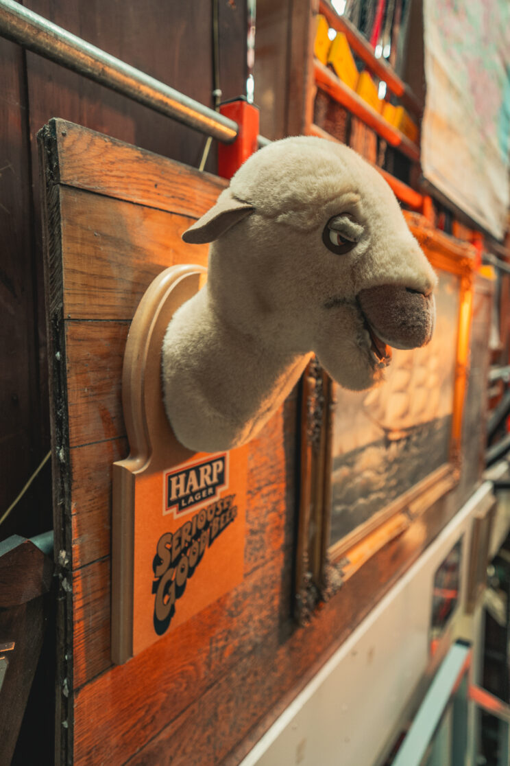 "Hey, Lawrence" Harp Camel in Immaculate Condition - On The Square Emporium