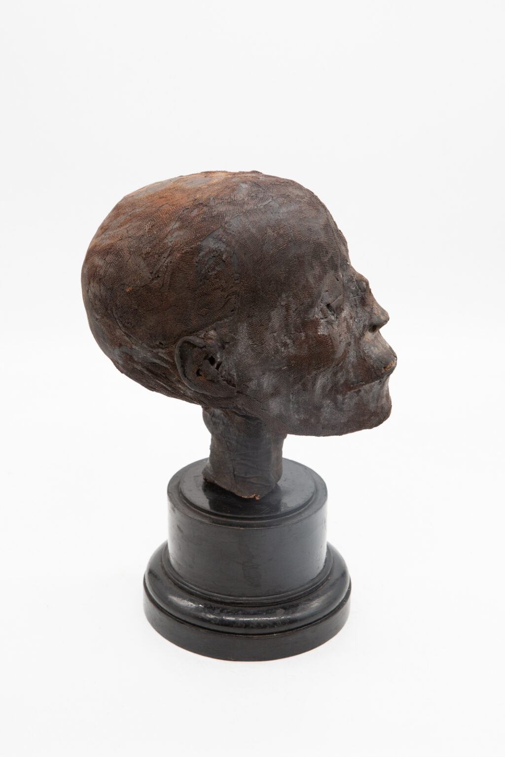 Ancient Egyptian Mummy Head (circa 775BC) - On The Square Emporium
