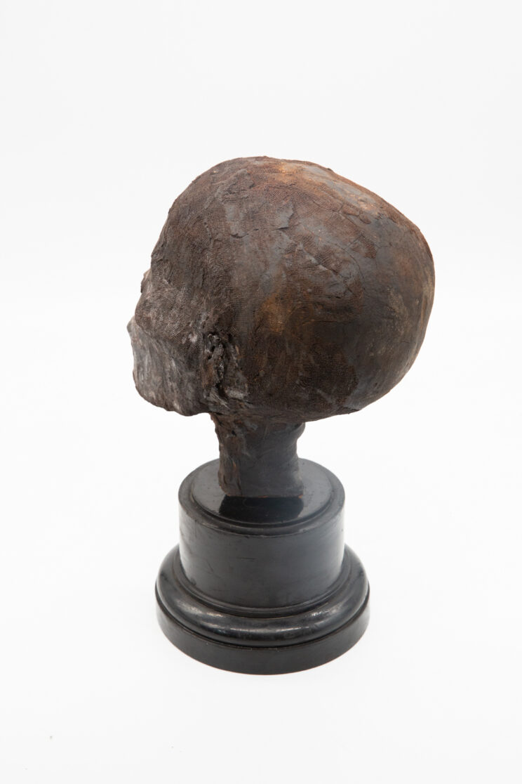 Ancient Egyptian Mummy Head (circa 775BC) - On The Square Emporium