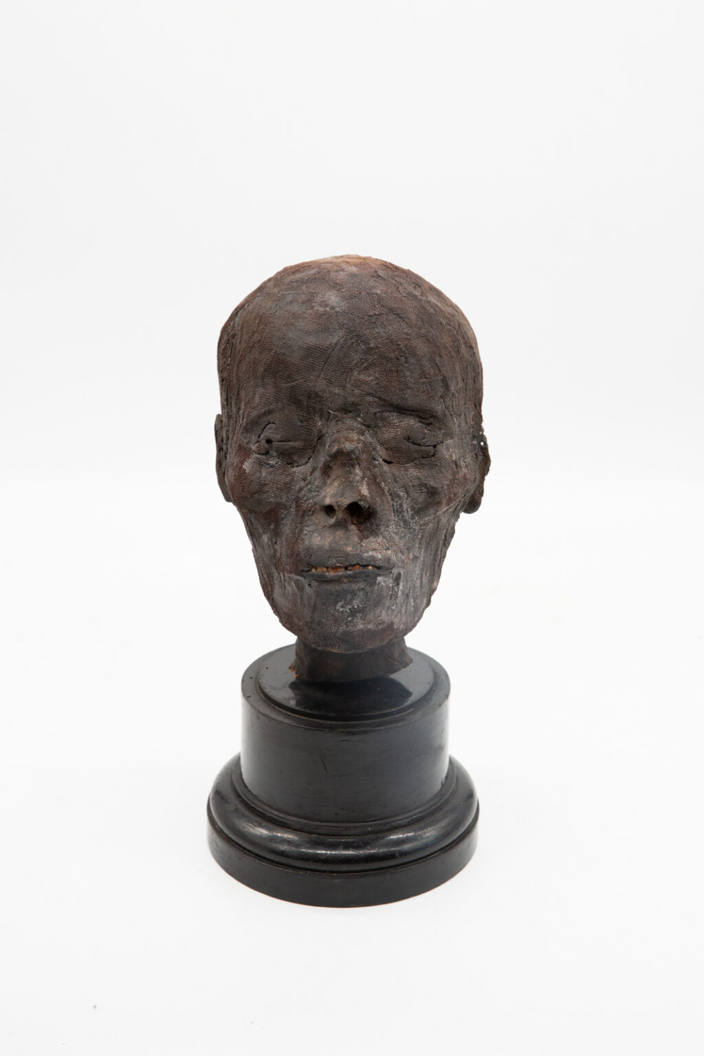 Ancient Egyptian Mummy Head (circa 775BC) - On The Square Emporium