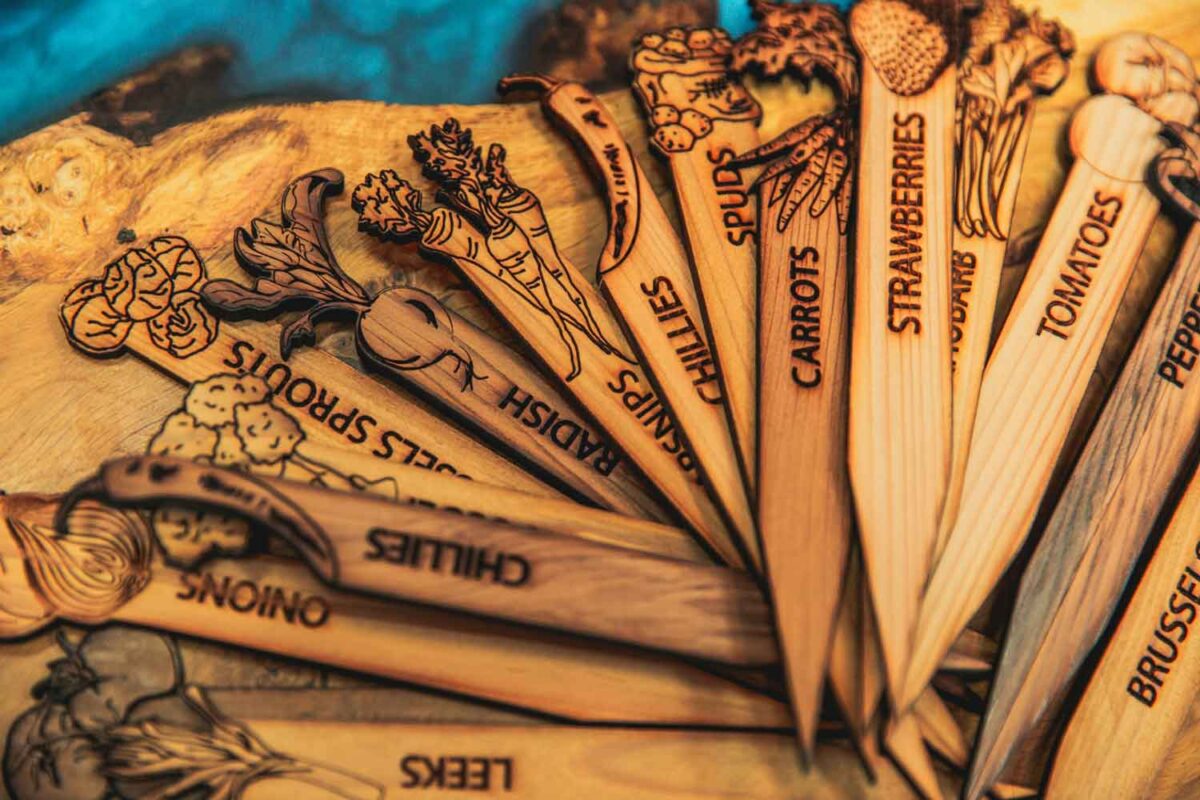 Moonbeam & Laser - Future Projects - On The Square Emporium