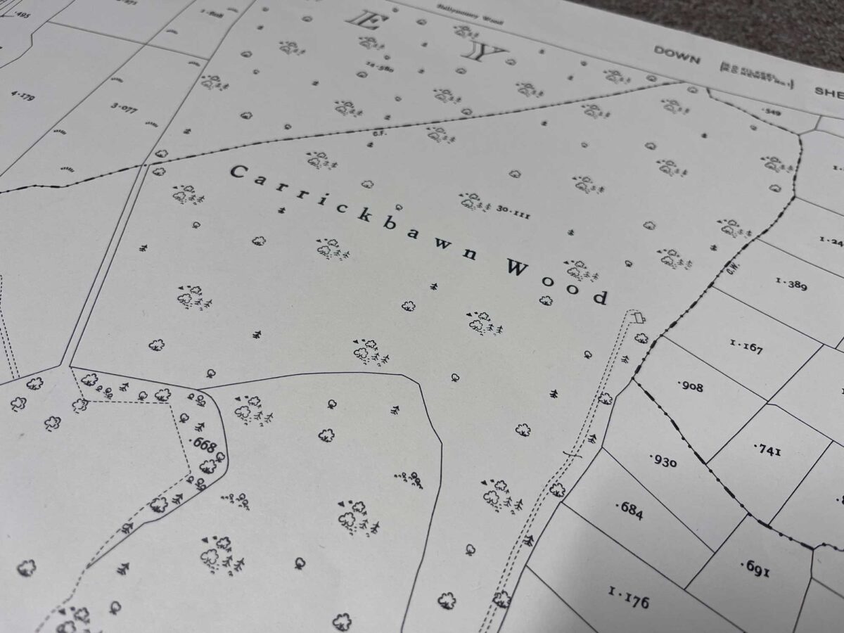 Vintage 1950 Ordnance Survey Map of Rostrevor - On The Square Emporium