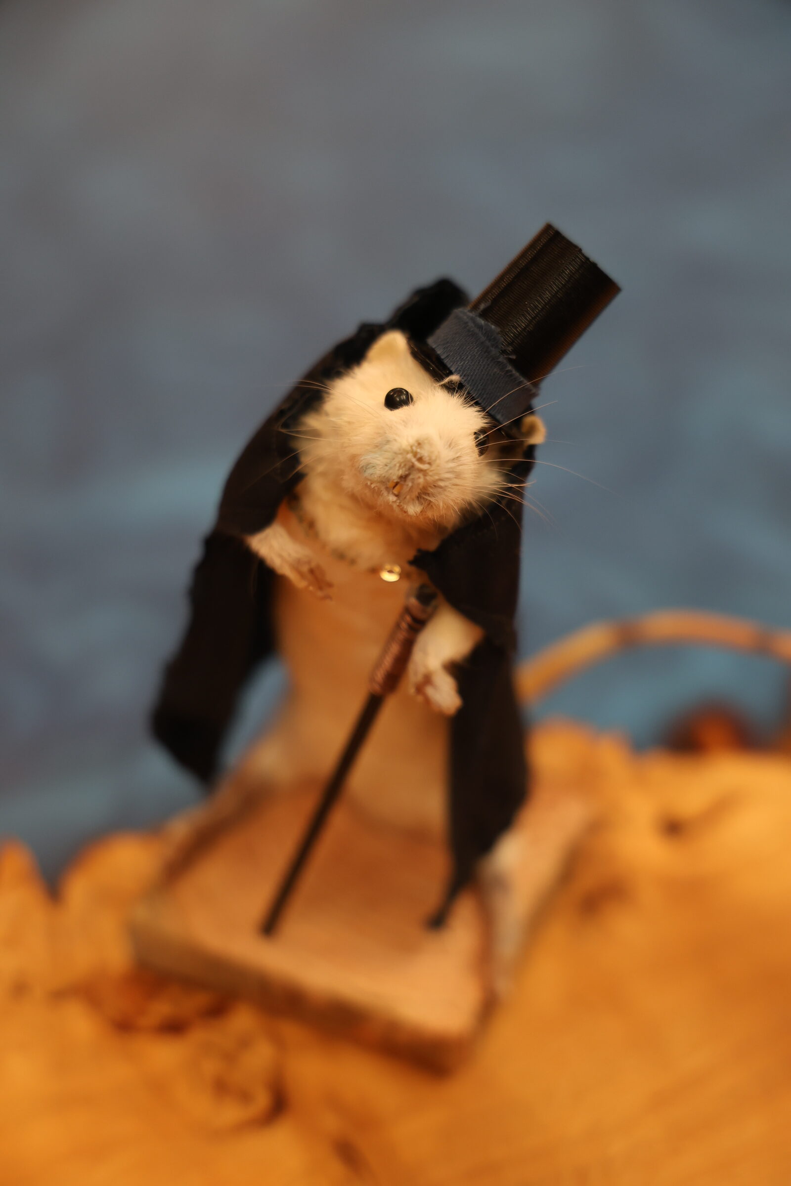 TD288 Taxidermy Magician Mouse - On The Square Emporium