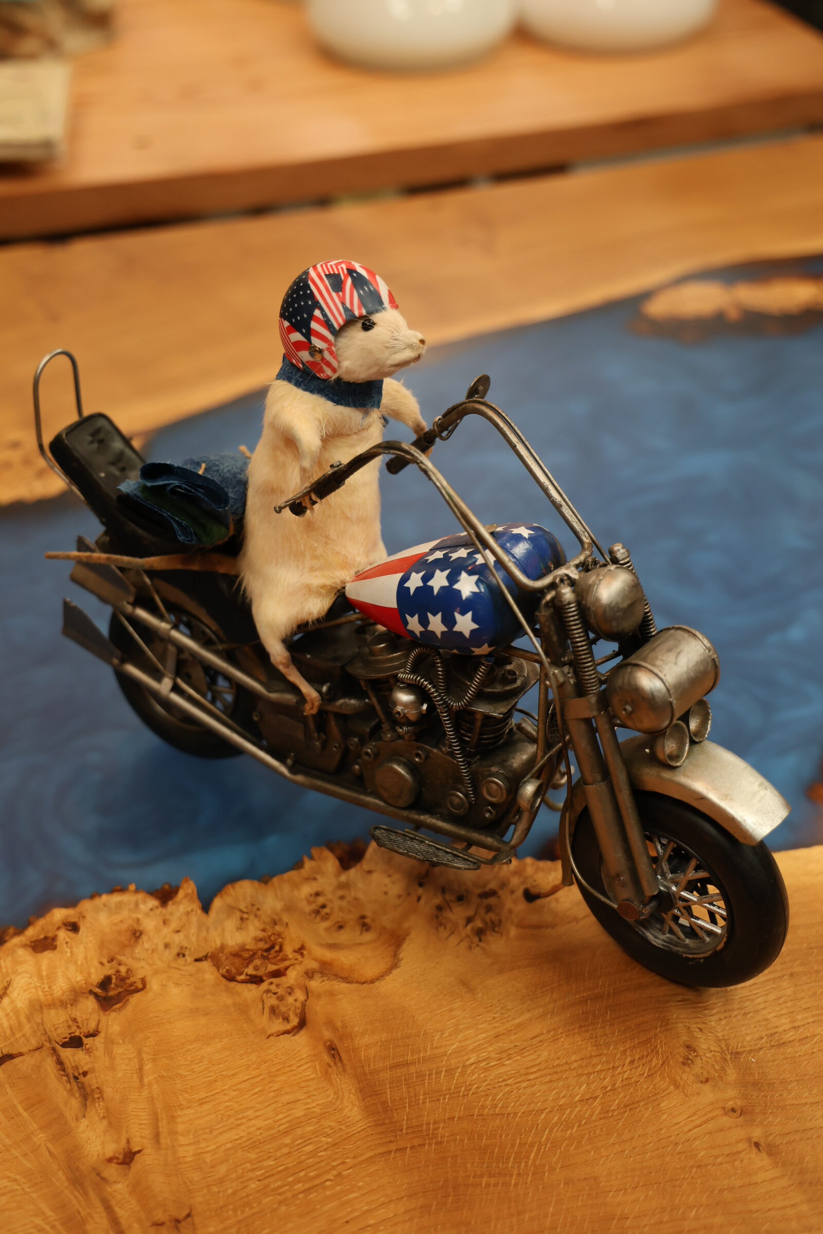 TD294 Taxidermy Mouse on Motorbike - On The Square Emporium
