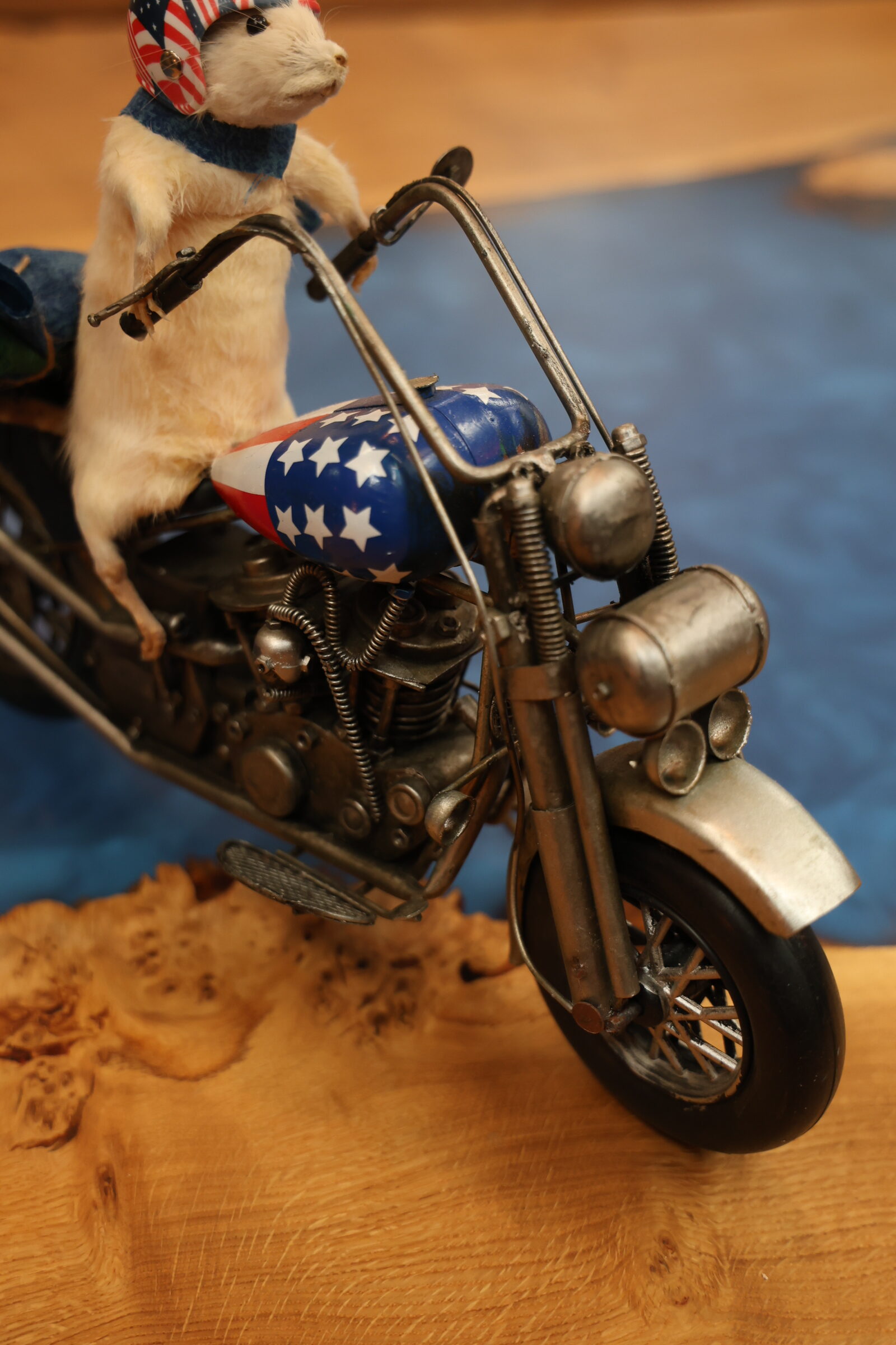 TD294 Taxidermy Mouse on Motorbike - On The Square Emporium