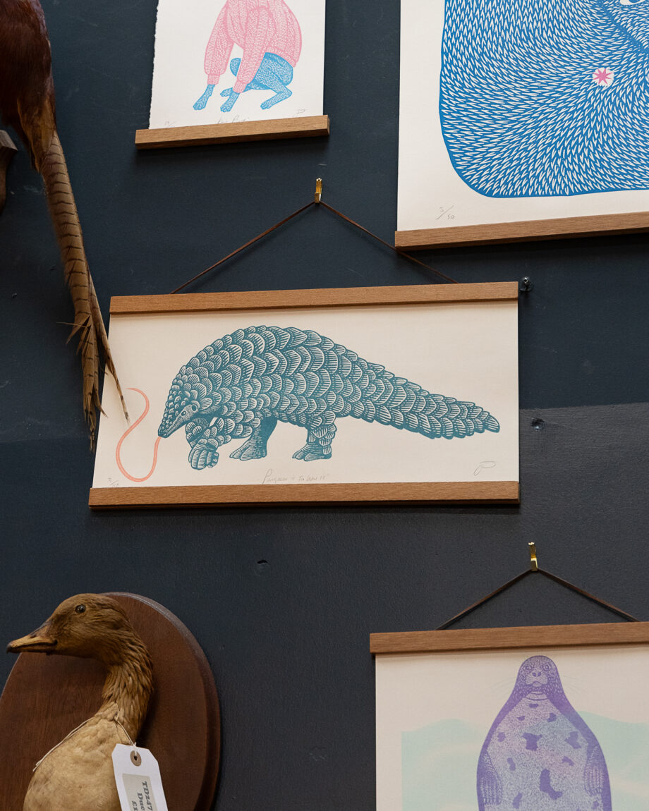 Strangford Print - Pangolin it to Win it - On The Square Emporium