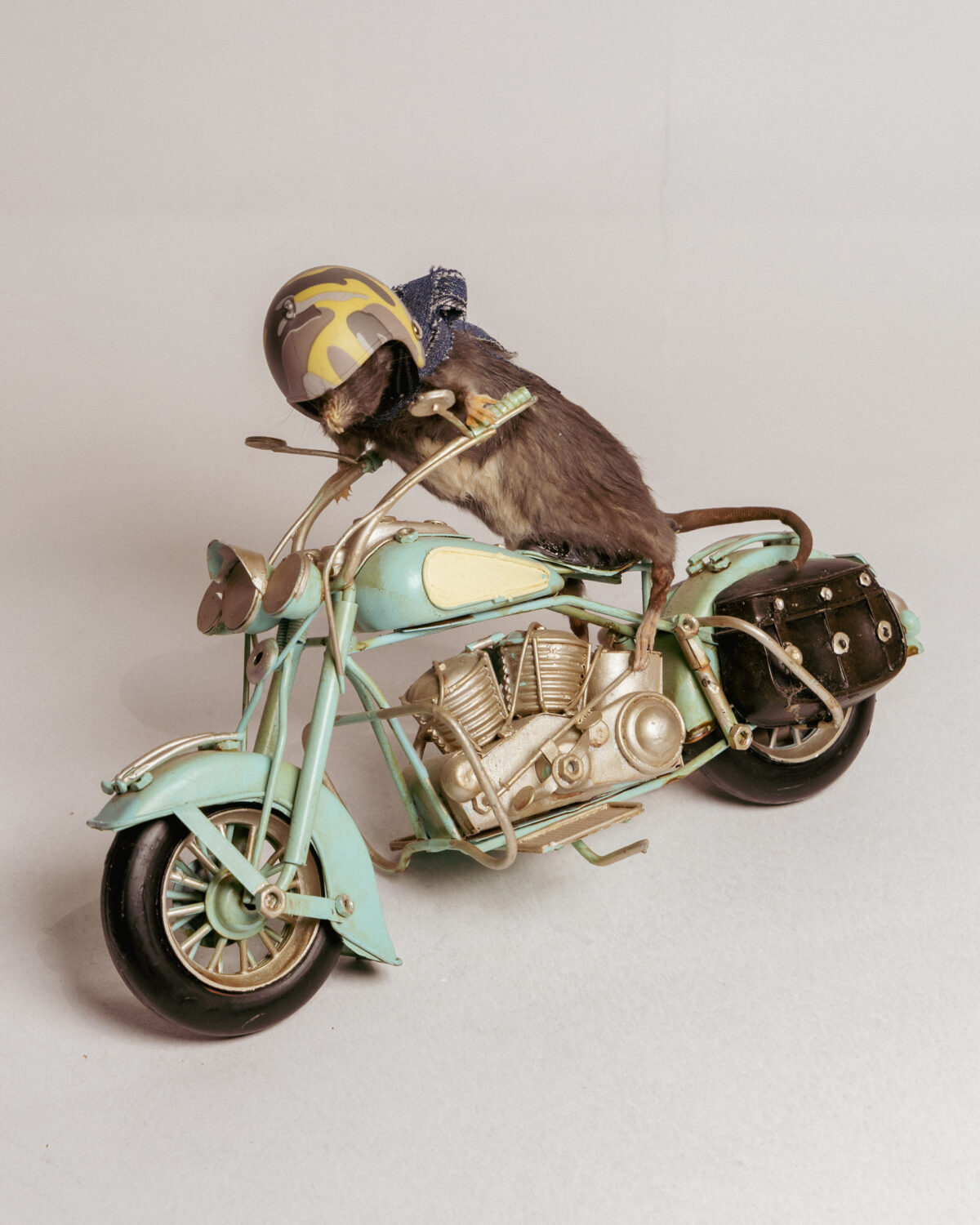 TD344 Mouse on Motorbike - On The Square Emporium