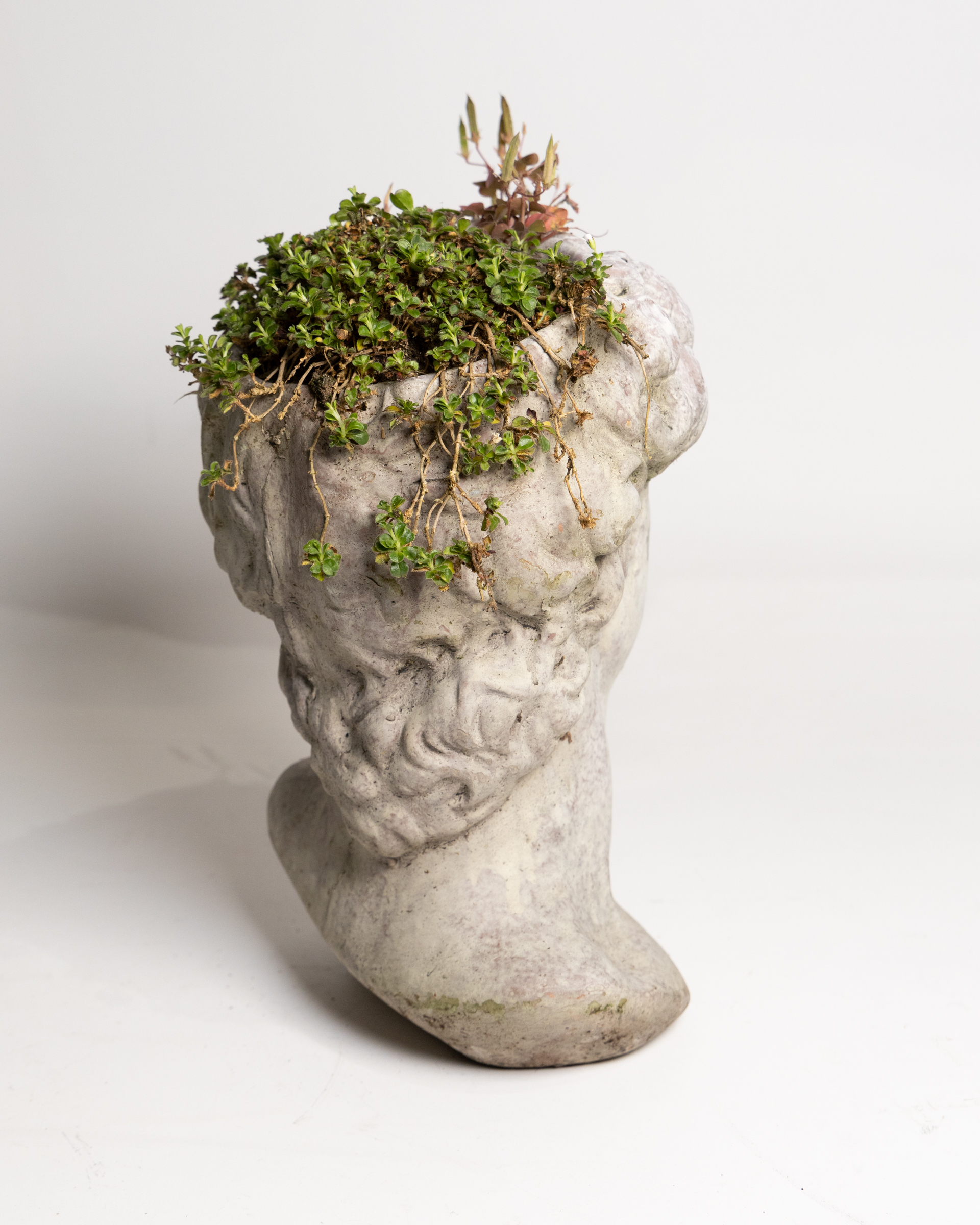 Small Grecian Bust Plant Pot - On The Square Emporium