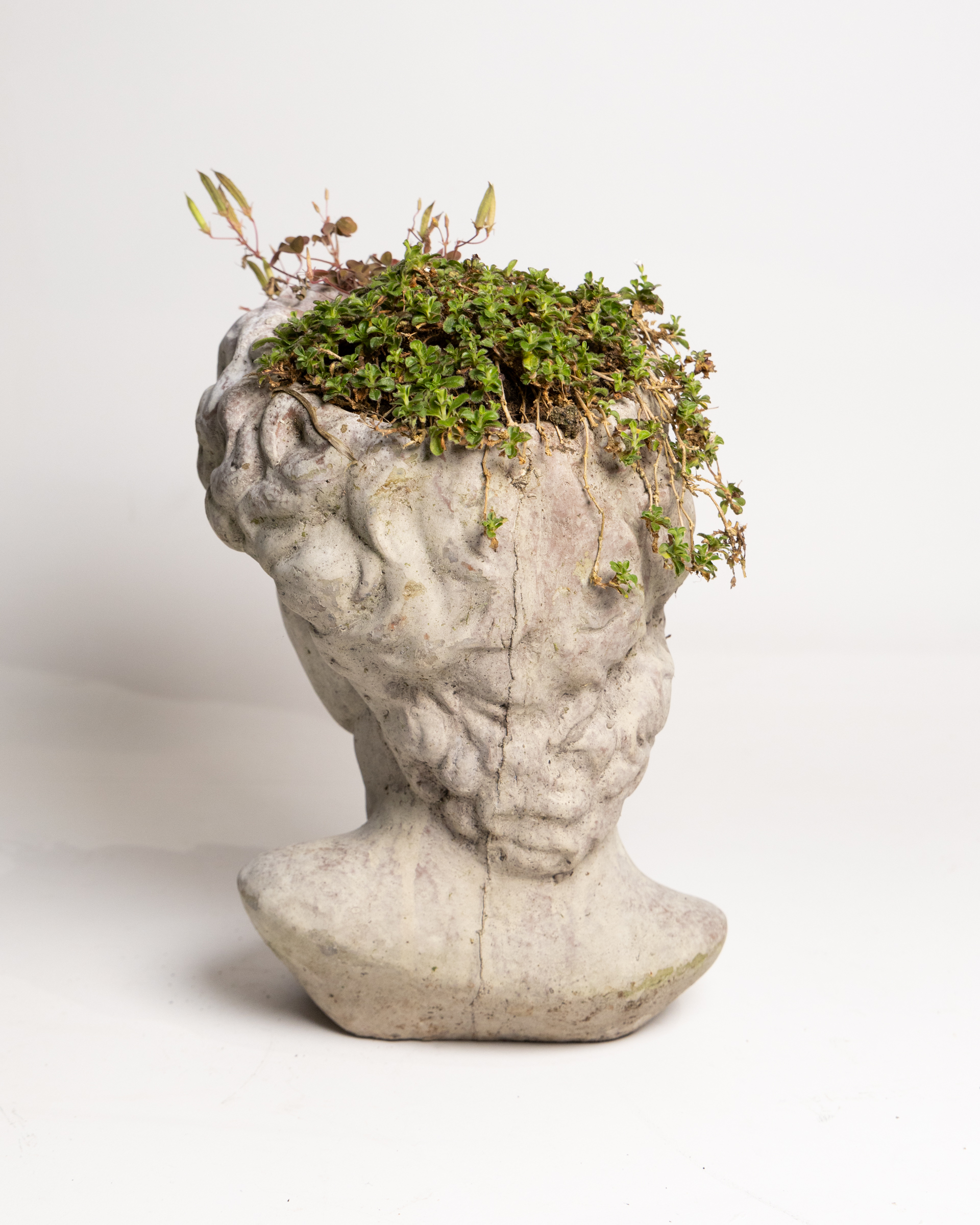 Small Grecian Bust Plant Pot - On The Square Emporium