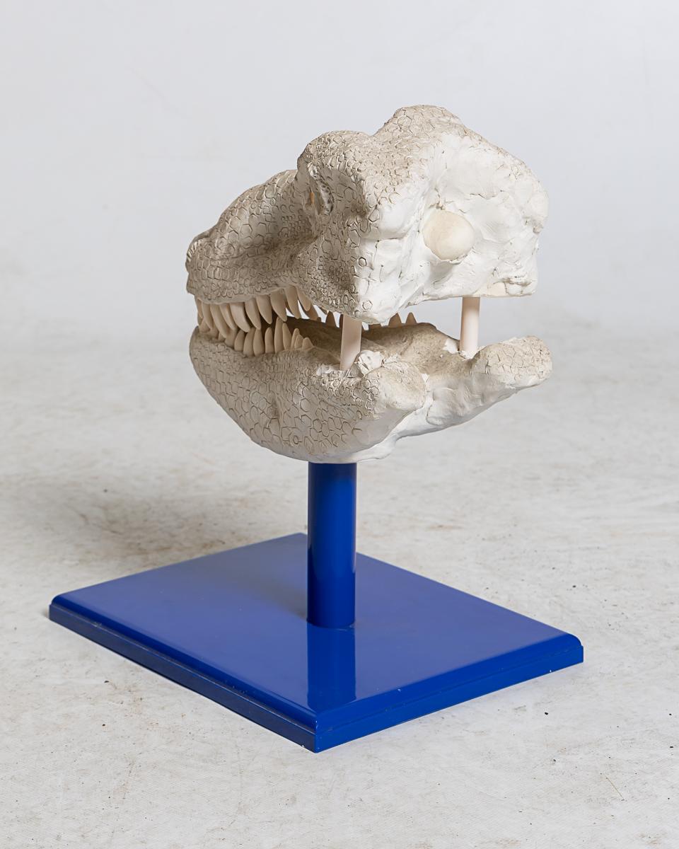 Dinosaur Skull Replica on Stand - On The Square Emporium