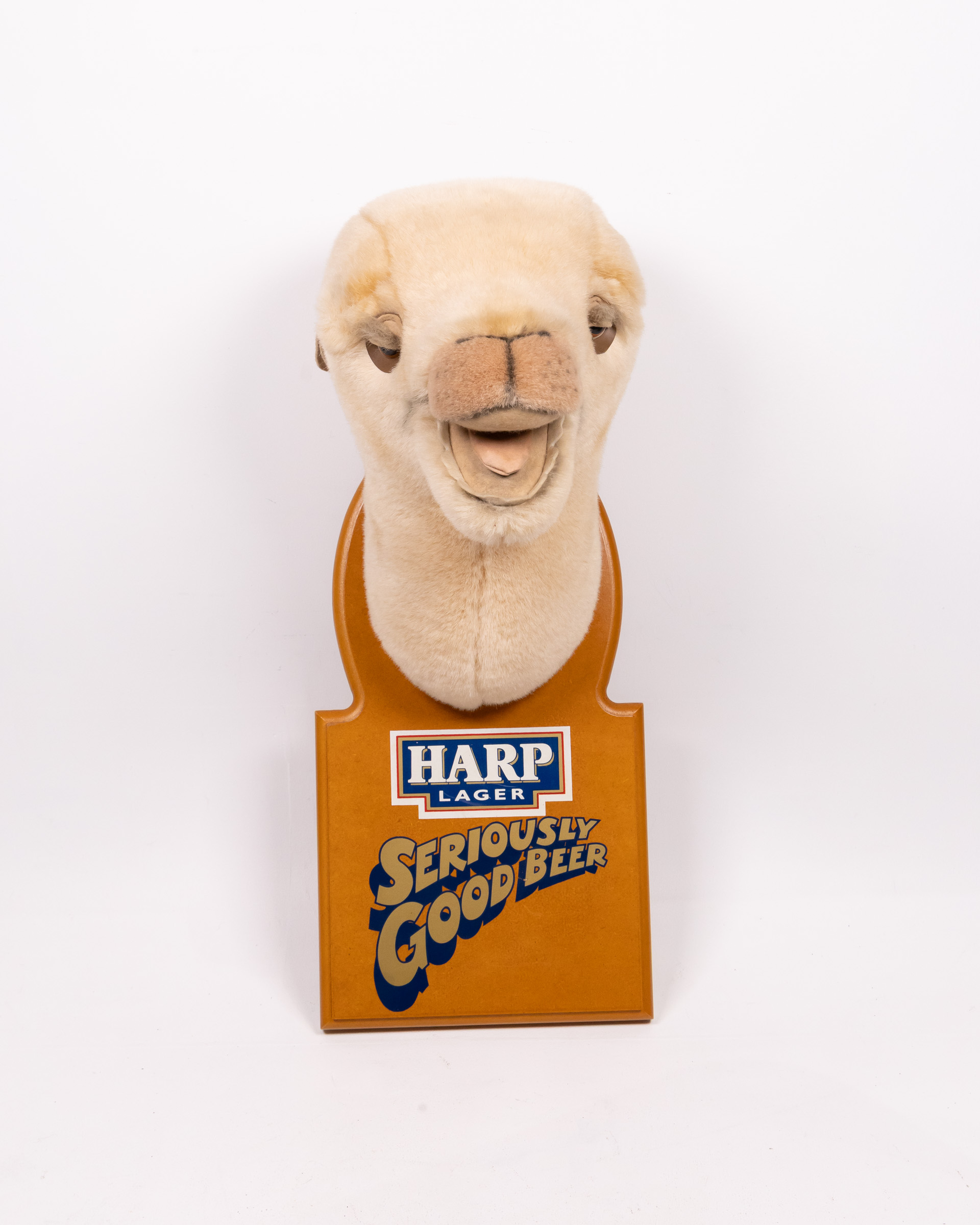 Rare "Hey Lawrence" Harp Camel - On The Square Emporium