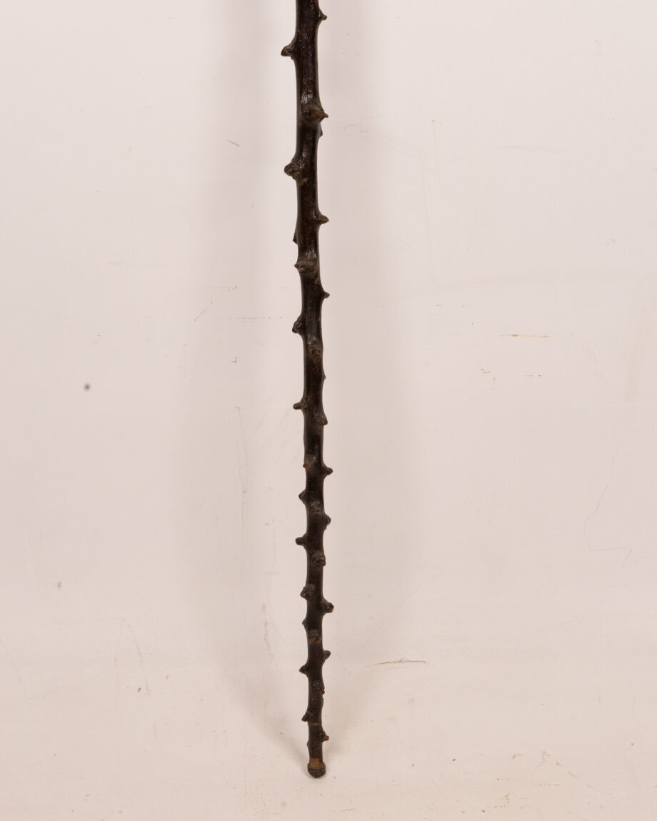 Vintage Thorn Walking Stick with Knob Handle - On The Square Emporium