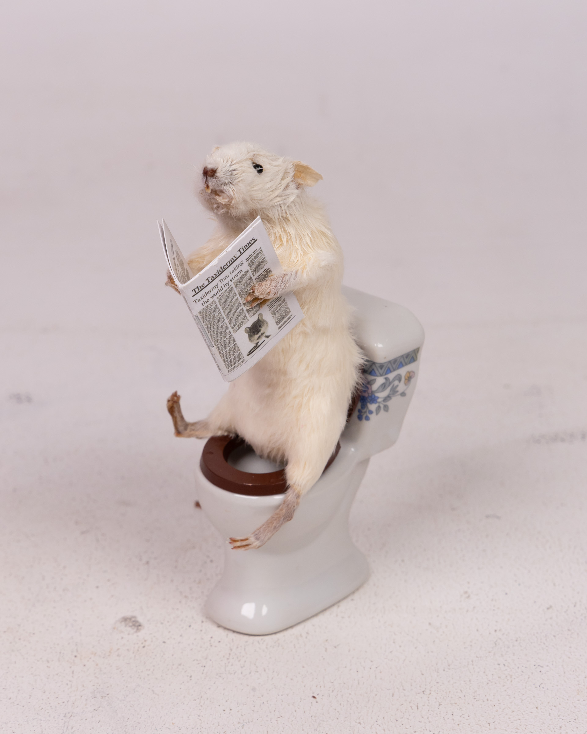 Taxidermy Mouse on Toilet - On The Square Emporium