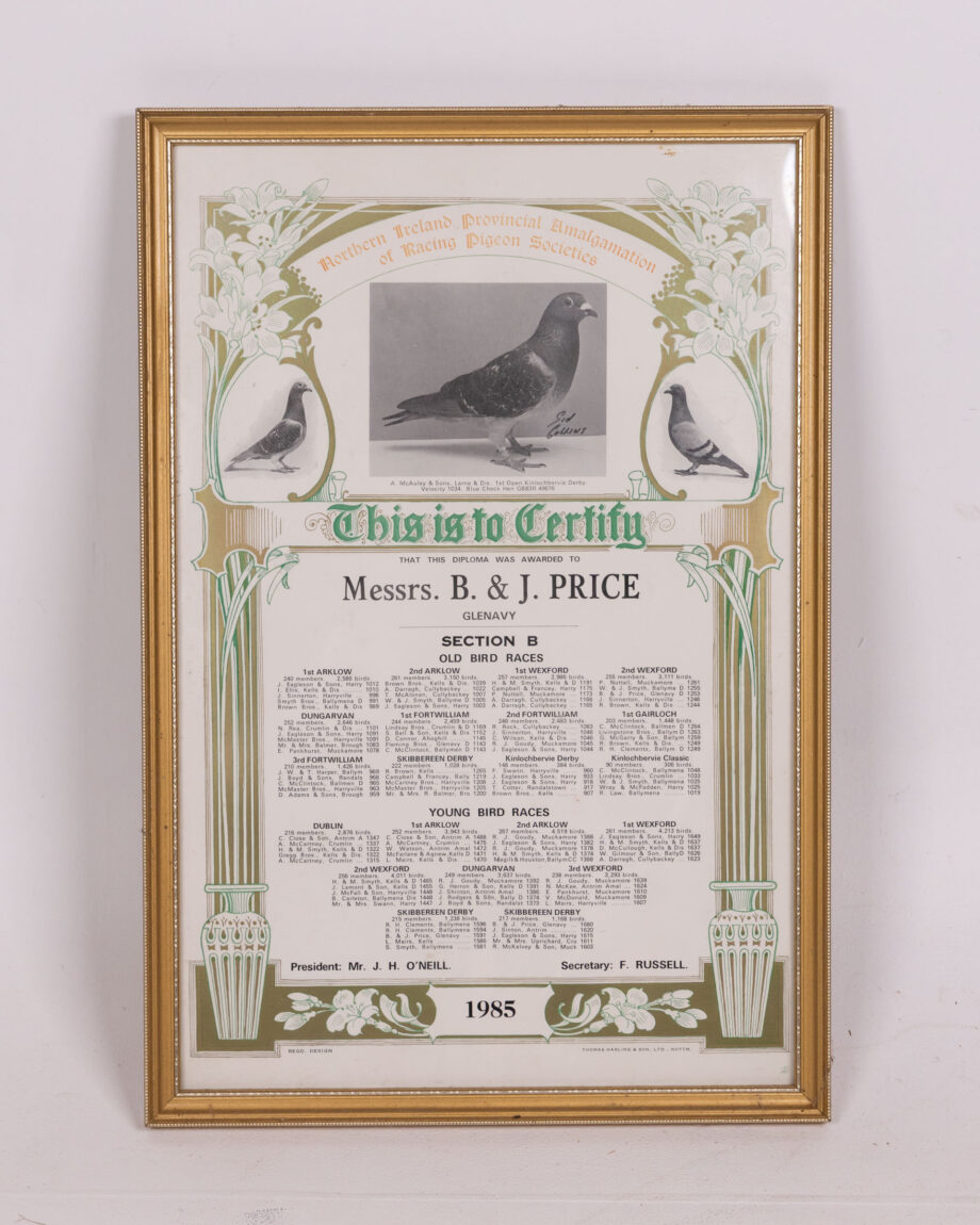 Framed 1985 Northern Ireland Pigeon Racing Certificate - On The Square ...