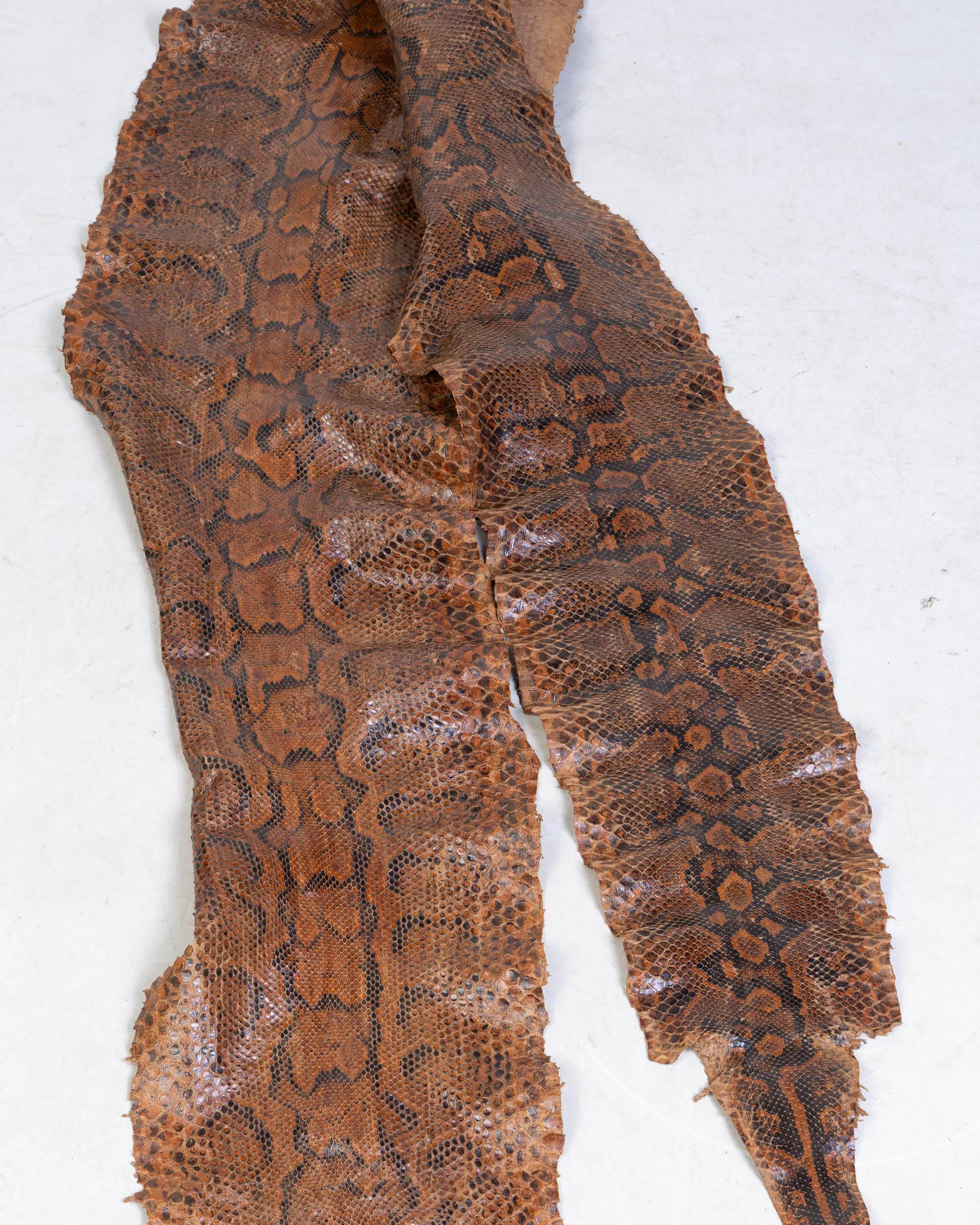 Genuine Snakeskin Taxidermy Hide - Natural Brown & Black - On The ...