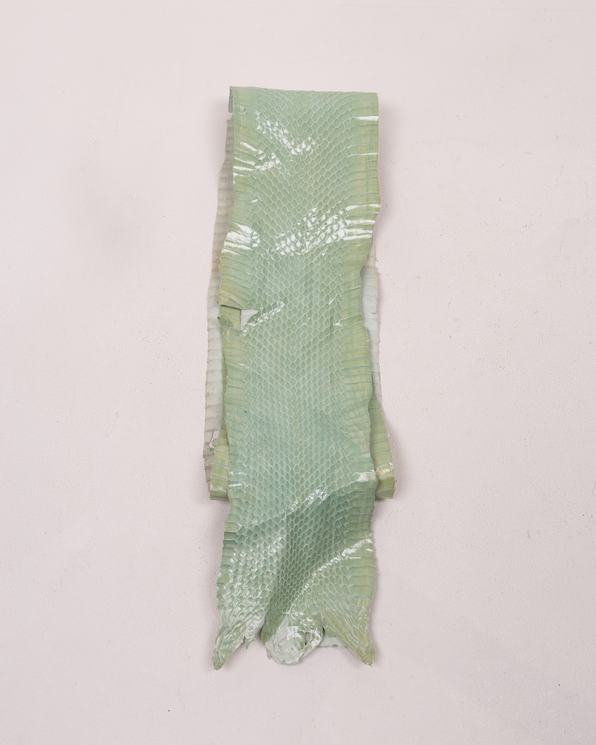 Green Tanned Lizard Skin for Crafts or Decor - On The Square Emporium