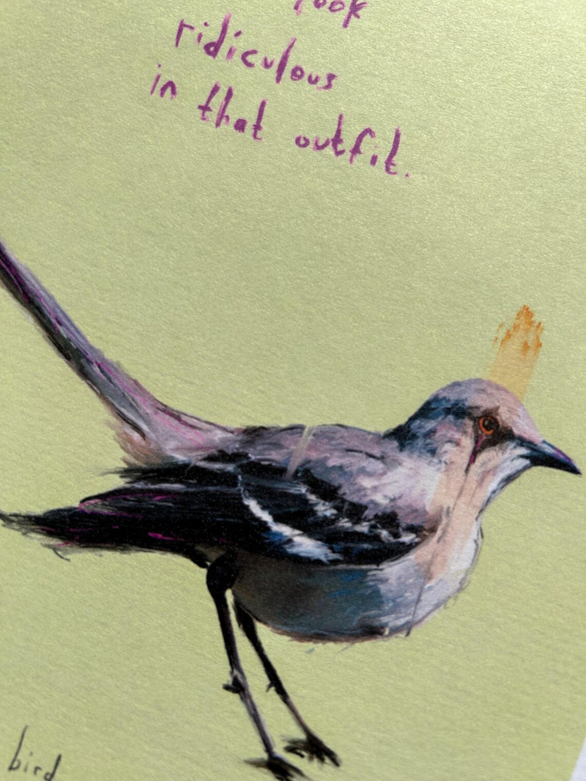 Portrait of Mocking Bird - A3 - By Rickydrewapiccy - On The Square Emporium